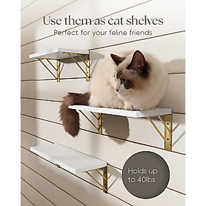 BAYKA Wall Shelves for Bedroom Decor, Floating Wall Shelves for Living Room Kitchen Storage, Wall Mounted Rustic Wood Shelves for Kids Books, Small Shelf for Bathroom(White and Gold，Set of 3)