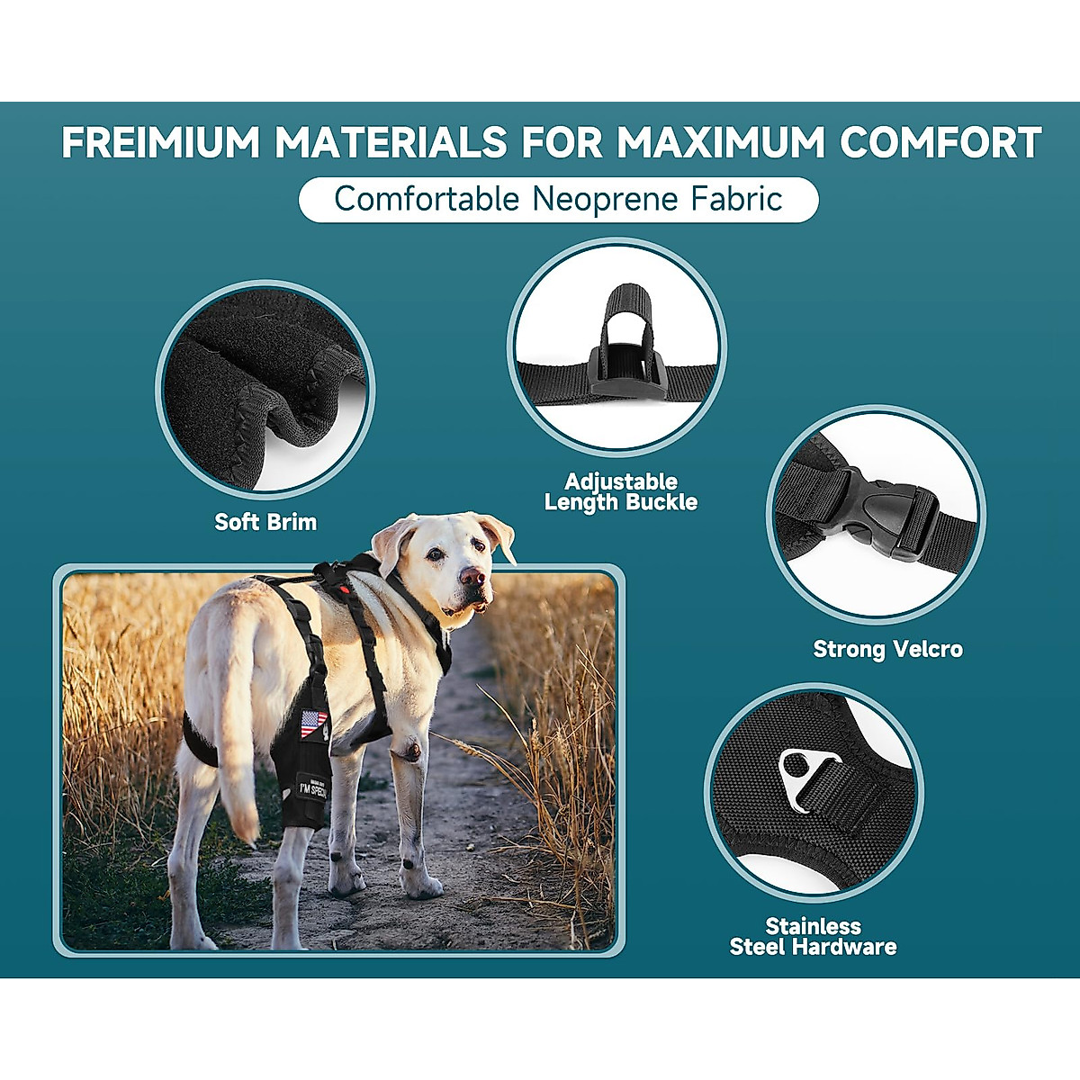 Virbraroo Dog Leg Brace for Torn Acl Hind Leg,8X Support Dog Knee Brace with Metal Strips for Joint Pain Relief, Rear Leg Brace with Adjustable Traction Belt for Cruciate Ligament Injury (L)