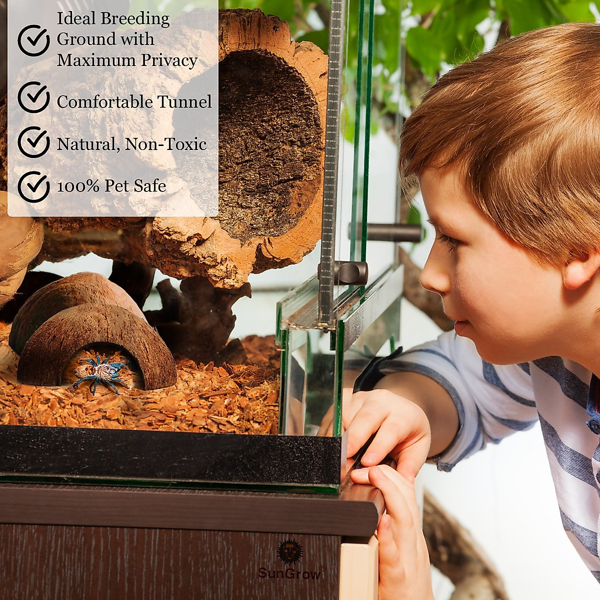 SunGrow Hermit Crab Huts, 5x3 Inches, Arthropod's Coconut Hide, Spacious Coco Tunnel, Use as Hermit Cave or Climber, 3-Pcs