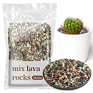 Sukh 300G Horticultural Succulent Soil Mix - Succulent Rocks Bonsai Mix Succulent Potting Mix Lava Rocks Cactus Soil Potting Mix Amendment.