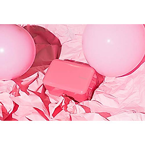 TAKENAKA Bento Nibble Box, Eco-Friendly Lunch Box Made in Japan, BPA and Reed Free, 100% Recycle Plastic Bottle Use, Microwave and Dishwasher Safe, Bento Box (Raspberry Pink *Band: Orange)