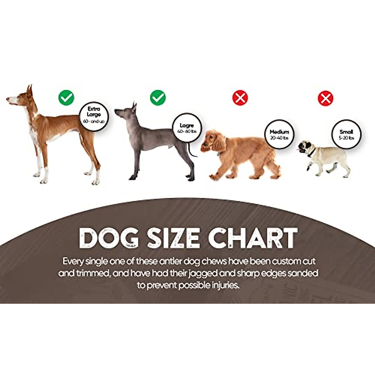 WhiteTail Naturals | Premium Deer Antlers for Dogs (Extra Large) | All Natural Antler Dog Chew | Naturally Shed, Long Lasting Chew Bone, Made in USA