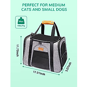 Cat Carrier, Pet Carrier Airline Approved, Dog Carrier Bag for Small Dogs and Cats, Foldable Pet Travel Carrier with Shoulder Strap, Soft Removable Mat and Pet Bowl