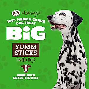 etta says! Big Yumm Sticks - Real Meat Beef Dog Treats - Human Grade - Made in The USA (24 Count Pack of 1)