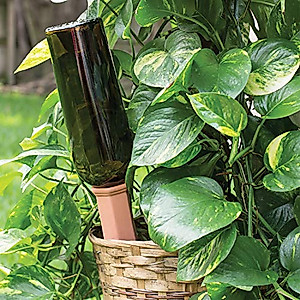 Maxam Plant Pals by Wyndham House 6 Piece Terracotta Watering Spikes