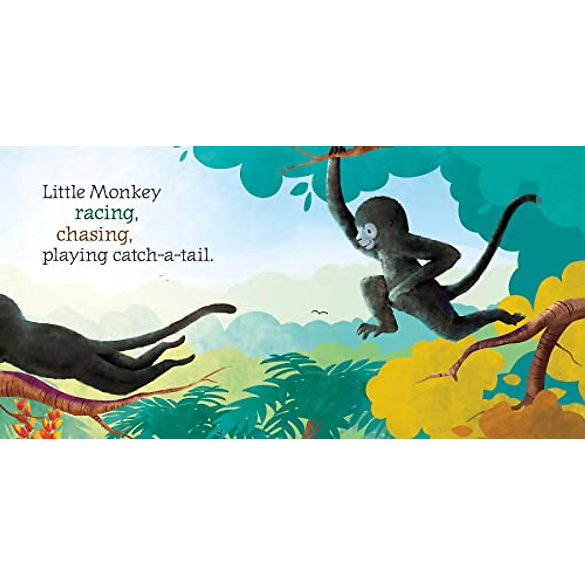 Little Monkey (Little Animal Friends)