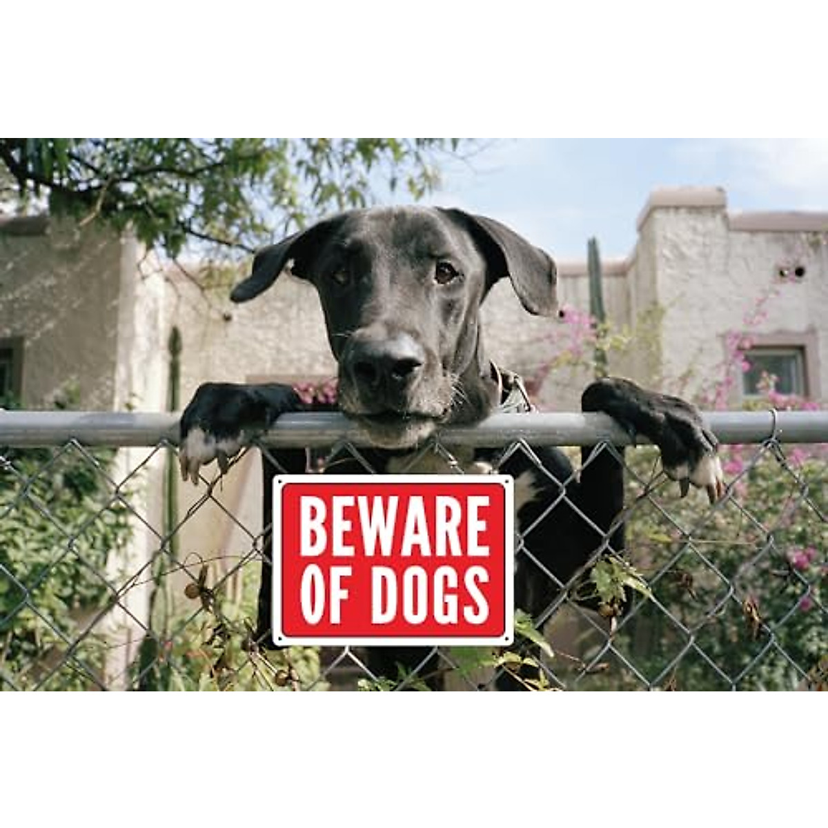 Beware of Dog Sign, Metal Warning the Dogs Signs for Fence Gate, 2 Pack 10 x 7 inches, for Indoor and Outdoor Use, No Fade Aluminum Weatherproof Long Lasting Red Ink (10 x 7, RED)