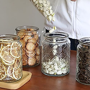 HolaJia Glass Jar with Lid – 24oz Glass Storage Containers – Premium Jars with Airtight Lids for Coffee, Rice, Sugar – Decorative Cookie Jars for Kitchen Counter, Pantry(Begonia flowers)