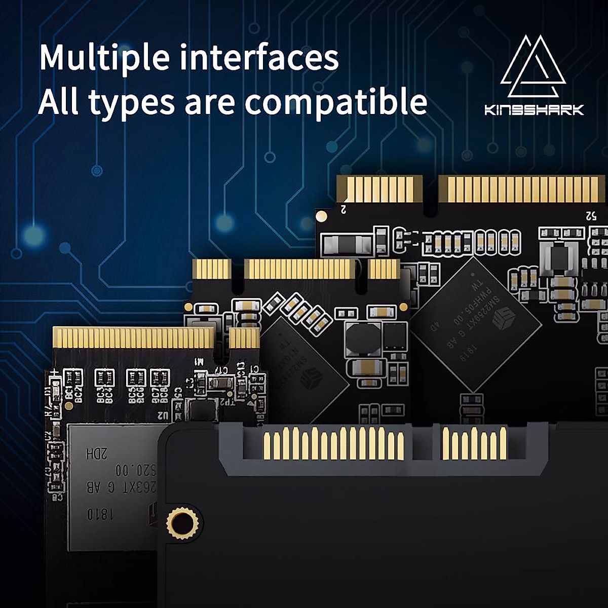 Kingshark Gamer mSATA 1TB Internal Solid State Drive High Performance Hard Drive for Desktop Laptop SATA III 6Gb/s Includes SSD (1TB, MSATA)