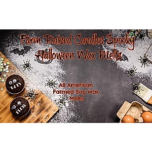 Halloween Fall Wax Melts 16 Ounces Made in America. Halloween Wax Warmer Melts - Farm Raised Candles - 5 Pack - 30 Cubes - Candy Corn, Trick or Treat Haunted Mansion Wax Melts