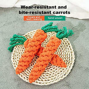 PERZOE Dog Toys, Carrot Shape Chew Toy,Squeaky Gift for Puppy Birthday Cute Toys for Small to Medium Dogs,Durable Toy for Aggressive Chewer Carrot Set