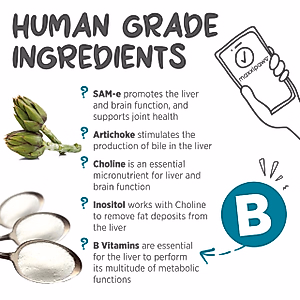 maxxipaws maxxiSAMe Advanced SAM-e Powder Supplement - Liver, Cognitive & Joint Support for Cats, 3.2oz