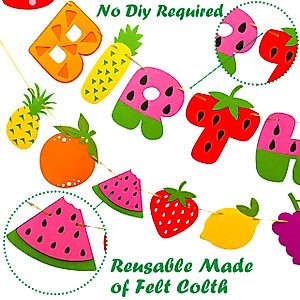 Fruit Theme Birthday Party Decorations Happy Birthday Felt Banner Fruit Patterns Garland for Summer Fruit Birthday Party Baby Shower Supplies