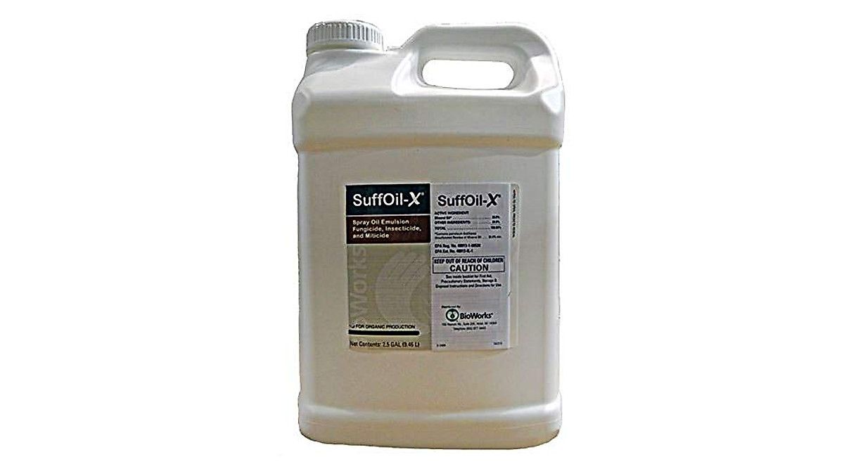Bioworks Suffoil-X - Effective Organic Insecticide
