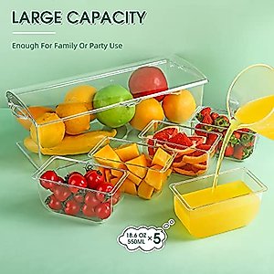 BELIBUY Condiment Server, Ice Chilled 5 Compartment Server CadCondiment Server,Condiment Containers with Lids, 5 Compartment Ice Chilled Caddy Clear Condiment Caddy with Iced Cube Fruit Serving Trays