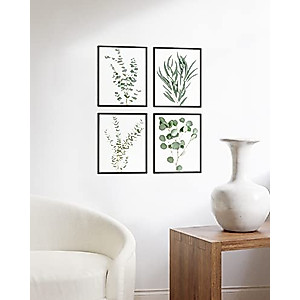 HAUS AND HUES Botanical Plant Wall Art Prints - Set of 4 Plant Decor Prints, Floral Kitchen Pictures, Flower Leaves Wall Art, Boho Leaf Eucalyptus Wall Décor (8x10, UNFRAMED)