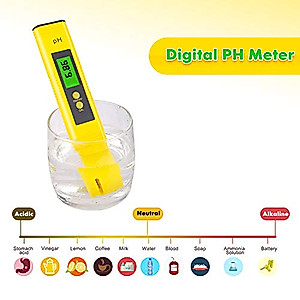 Ph Pen, PH Meter 0.01 Water Quality Tester with 0-14 PH Measurement Range for Household Drinking, Pool and Aquarium Water