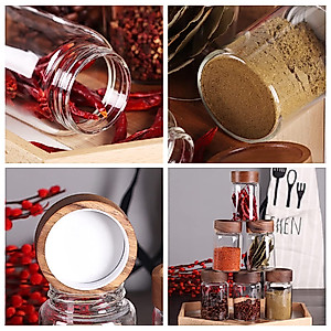 SAIOOL 6 Pcs Small Glass Spice Jars with Label,High Sealing Threaded Mouth,with Black Printed Spice Labels - 8.79oz /260ml*6 ,Empty Cylinder Spices Bottles ,Storage Jars with Airtight Screw Lids