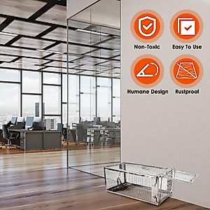 TeqHome Humane Rat Trap, Small 1-Door Live Chipmunk Trap That Work for Indoor and Outdoor, Easy to Catch and Release Live Animal Trap Mouse Cage Trap for Rodents Mice Voles Hamsters, Reusable & Metal