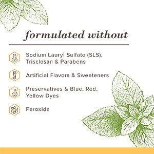 Burt's Bees Toothpaste, Natural Flavor, Fluoride Free Purely White, Zen Peppermint, 4.7oz 3 Count