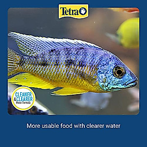 TetraCichlid Cichlid Crisps 8.82 Ounces, Fish Food, Clear Water Advanced Formula
