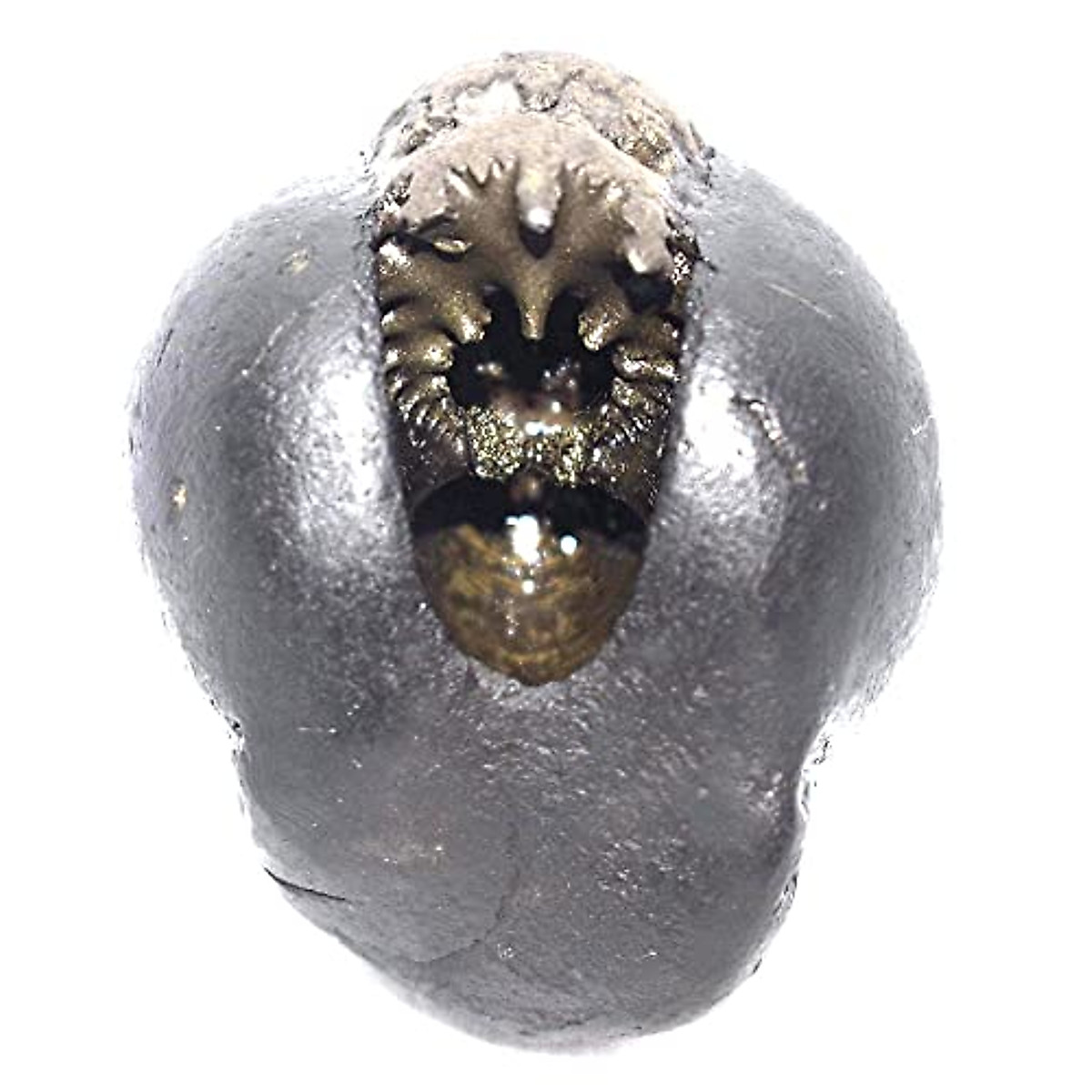 Rudrakshguru Wooden Bhuvaneshwari Shaligram (Black, 2.50 x 2-inch)