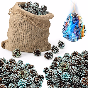 Shappy 170 Pcs Flame Color Changing Pine Cones Fireplace and Firepit Color Burning Pinecones with Green Blue Color Flame for Holidays Campfire Wood Stove Color Changing(4 lb in Burlap Bag)