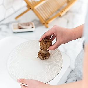 Full Circle Zero Waste Dish Brush