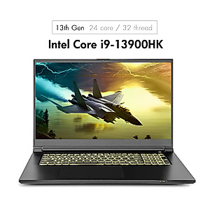 Sager 2023 NP7881C Gaming Laptop, 17.3 Inch FHD 144Hz 72% NTSC, Intel i9-13900HX, RTX 4050 6GB, 32GB RAM, 1TB NVMe SSD, TBT 4, Win 11