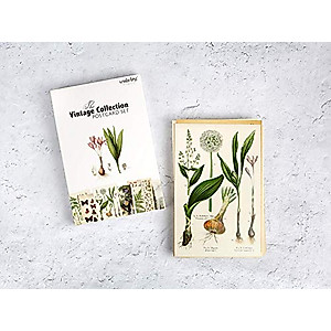 Vintage Collection Postcard Set: Pack of 30 Retro Style Botanical, Nature and Ephemera Postcards by Wintertime Crafts