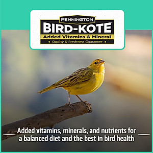 Pennington Pride Wild Finch Blend, Wild Bird Seed for Outside Feeders, Special Mix for a Variety of Musical & Colorful Birds, Great to Feed Year-Round, 10-lb. Bag