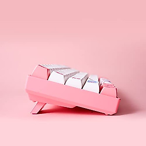 Akko World Tour Tokyo 3061S 60% Pink Wired Mechanical Gaming Keyboard, RGB Backlit, Hot-swappable Wired with OSA Profile PBT Keycaps and NKRO (Jelly Pink Switches)