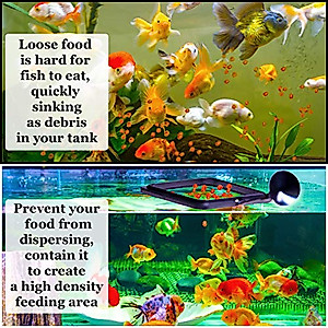 SunGrow Fish Food Feeding Ring, Stop Water Turbulence from Washing Food & Floating Plants into Filter, Suitable for Flakes & Floating Fish Pellets, for Goldfish, Guppy, Neon Tetra, Betta