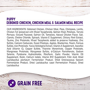 Wellness Complete Health Natural Grain Free Dry Puppy Food, Chicken & Salmon, 4-Pound Bag