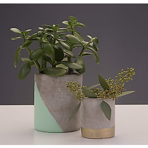 Paddywax Candles Urban Collection Soy Wax Blend Candle in Concrete Jar, Small- 3.5 Ounce, Amber + Smoke