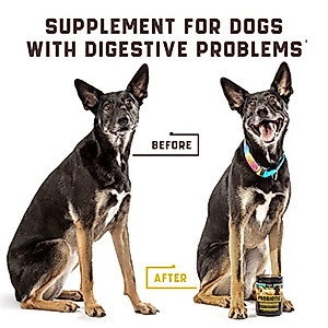 Probiotics for Dogs - Support Gut Health, Itchy Skin, Allergies, Yeast Balance, Immunity - Dog Probiotics and Digestive Enzymes for Small, Medium and Large Dogs - 180 Probiotic Chews for Dogs, Duck