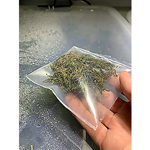 Marcus Fishtanks Java Moss Taxiphyllum Barbieri Easy Live Aquarium Plant - Buy 2 Get 1