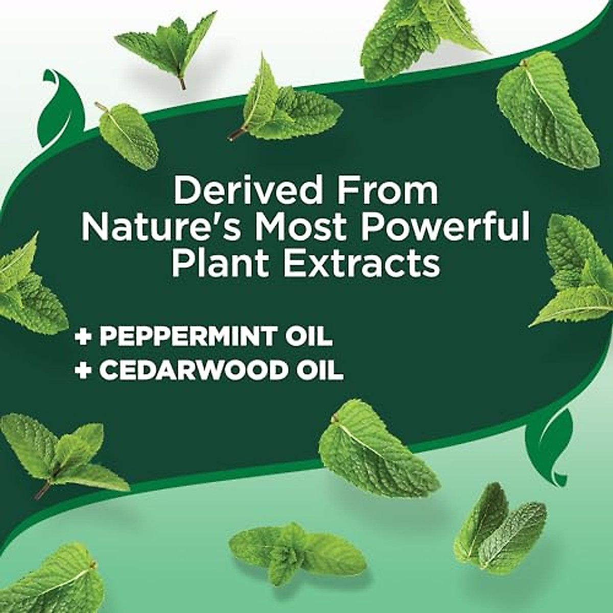 Vet's Best Flea and Tick Repellent Collar for Dogs - Flea and Tick Prevention for Dogs - Plant-Based Ingredients - Small to Large Dog Flea Collar - Up to 20” Neck Size