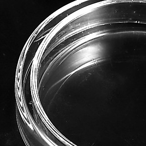 Baluue 5Pcs Glass Petri Dishes Container, 60mm High Borosilicate Glass Cell Culture Dishes Lab Supplies Glass Petri Dishes with Lid for Lab Science Experiment