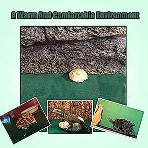 PINVNBY Reptile Carpet, 2 Sheets Lizard Terrarium Mat,Natural Coconut Fiber Substrate Bedding Habitat Liner Pads for Bearded Dragon Snake Bedding Gecko Tortoises Tortoise Chameleons