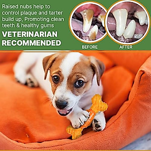 SPOT Bam-Bones Dental Bone - Made with Bamboo Fiber and a Massaging Rubber Center, Durable Oral Care Dog Chew for Light Chewers & Teething Puppies Under 25lbs, 6in Allergen Free Peanut Butter Flavor