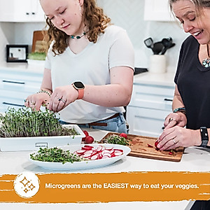 Powerhouse Veggies Refill for Hamama Home Microgreens Growing Kit - Grow Fresh Micro Greens Indoors Every Week, Just Add Water - Superfoods Microgreens Seeds - Grow Superfood Veggies and Supergeens