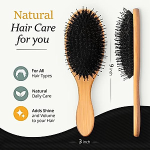 Belula Boar Bristle Hair Brush for Men Set.Styling Mens' Hair Brush with Nylon Pins. Boar Bristle Brush, 2 x Palm Brush, Wooden Comb & Travel Bag Included.