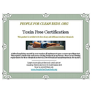 Strobel Organic Vail Complete Waterbed 5 Board Fabric Upholstered Chocolate Fabric King