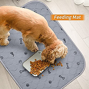 Washable Pee Pads for Dogs, 2Pack Reusable Puppy Pads, Absorbent Whelping Pads with Bone Print, Non-Slip Waterproof Pet Training Pads for Couch, Crate, Potty Training -18x24