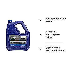 Polaris 2882202 Synthetic 2-Cycle Engine Oil NEW (replaces old 2875036)