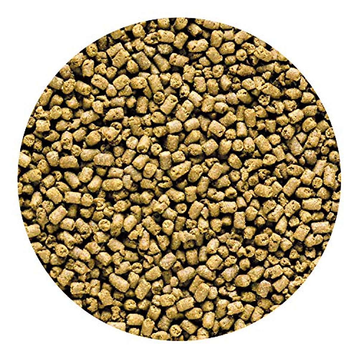 Hikari 042220 Carnivore Medium Sinking Pellets Marine Fish Food, One Size