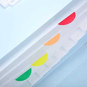 File Index Tabs Sticky Writable Flags for Labeling and Organizing Documents, Papers, Filing, Book, Folder (Style 6, 480 Pieces)