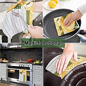 HADEEONG Summer Time Lemons Dish Towels for Kitchen, 16 x 23.6 Inch Fast Drying Absorbent Tea Towels Dishcloths, Seasonal Hand Towels for Daily Kitchen Home Cleaning Baking Set of 4
