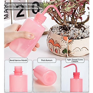 Melphoe 2Pcs 250ml 500ml Tattoo Wash Bottle, Plastic Squeeze Medical Lab Washing Bottle, Succulent Watering Can, Lash Water Bottle, 750ml, Pink